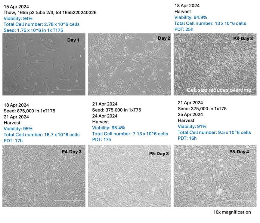 Vega Stem Cell Advances Global Stem Cell Standards Through ...